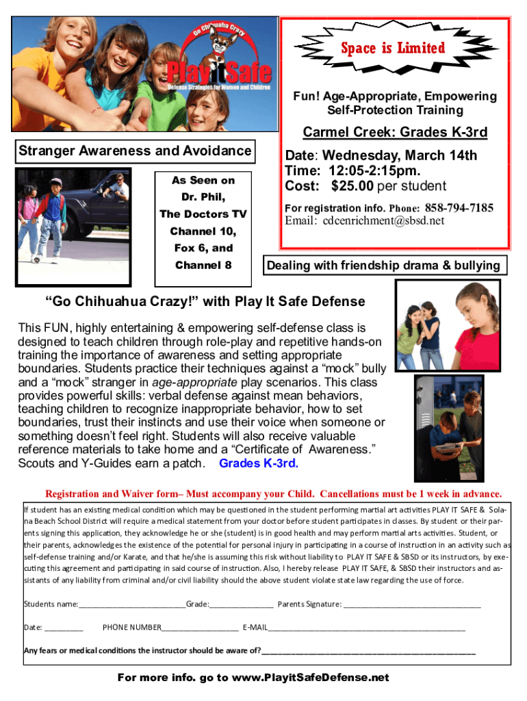 Fillable Online Play it Safe. play it safe flier Fax Email Print - pdfFiller