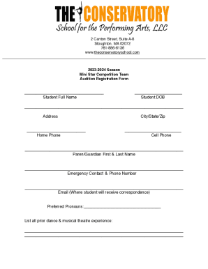 Fillable Online 2023 Mini Star Comp. Audition Registration Form Fax Email Print - pdfFiller