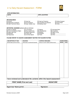 Fillable Online 2.1a Daily Hazard Assessment FORM.docx Fax Email Print ...