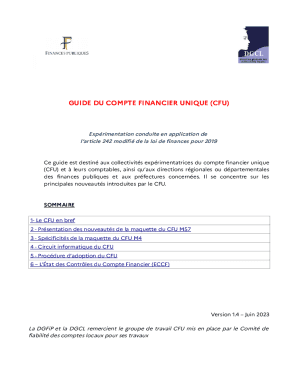 Remplissable En Ligne Guide sur le Compte Financier Unique (CFU) - AMF ...