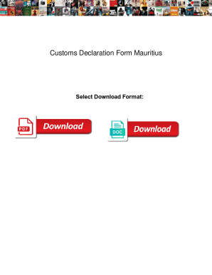 Fillable Online Customs Declaration Form Mauritius. Customs Declaration ...