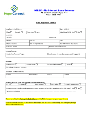 Fillable Online Nils loan for car. Housing repair; Hot water/tank/pump ...