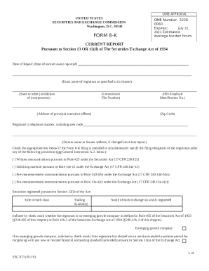 Online SECURITIES AND EXCHANGE ... Doc Template | pdfFiller