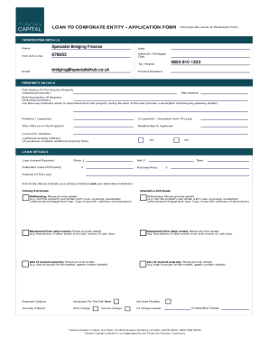 Fillable Online LOAN TO INDIVIDUAL - APPLICATION FORM Fax Email Print - pdfFiller