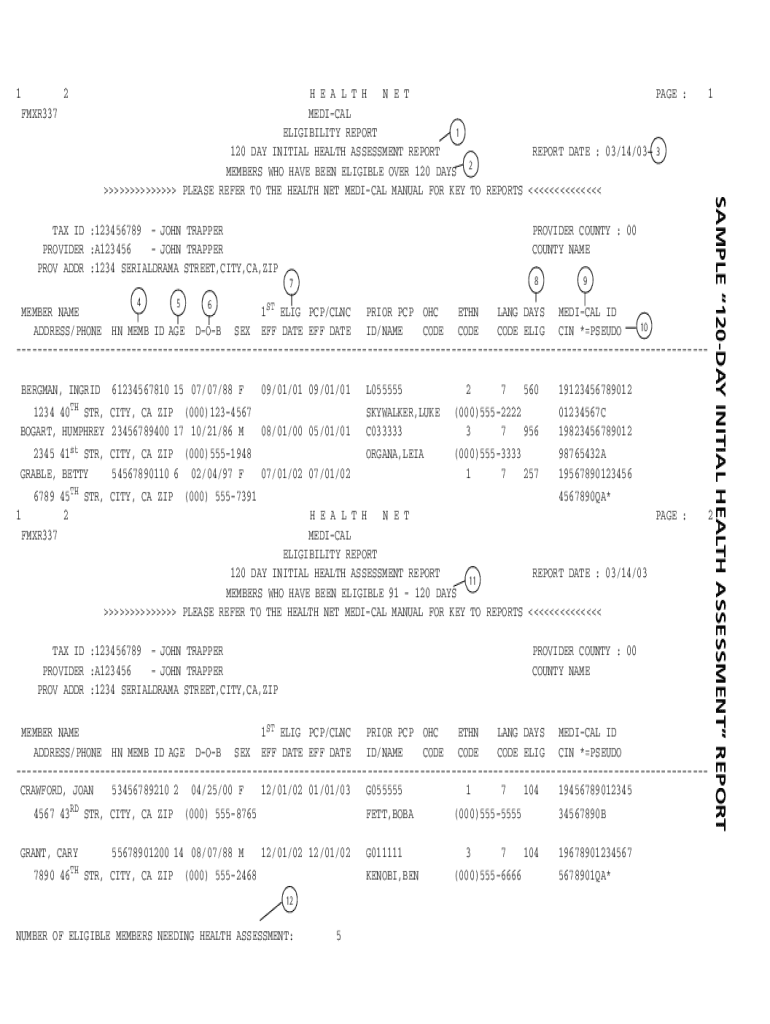 Fillable Online SAMPLE 120-DAY INITIAL HEALTH ASSESSMENT REPORT. 4681 ...