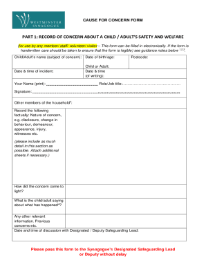 Fillable Online RECORD OF CONCERN ABOUT A CHILD / ADULT'S ... Fax Email ...