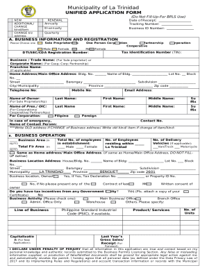unified application - La Trinidad - latrinidad gov Doc Template | pdfFiller