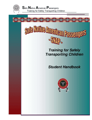 Fillable Online Ride Safe: a child passenger safety program for ...