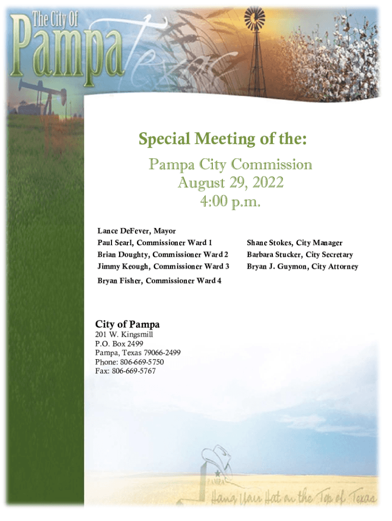 Fillable Online Lance DeFever, Mayor Fax Email Print - pdfFiller