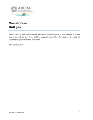 Compilabile Online Manuale d'uso del sistema RAB (Regulatory Asset Base ...