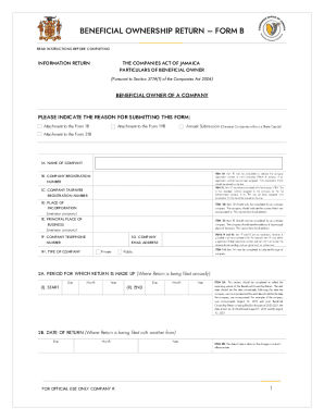 Fillable Online BENEFICIAL OWNERSHIP RETURN FORM B Fax Email Print - pdfFiller