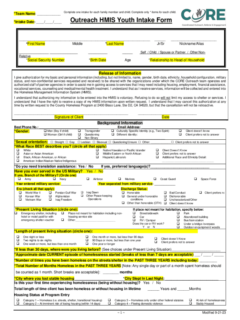 Fillable Online RHYMIS/HMIS Intake Form Fax Email Print - pdfFiller