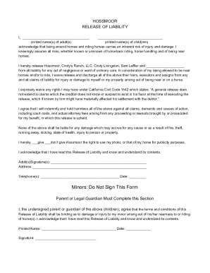 Fillable Online Minors: Do Not Sign This Form Fax Email Print - pdfFiller