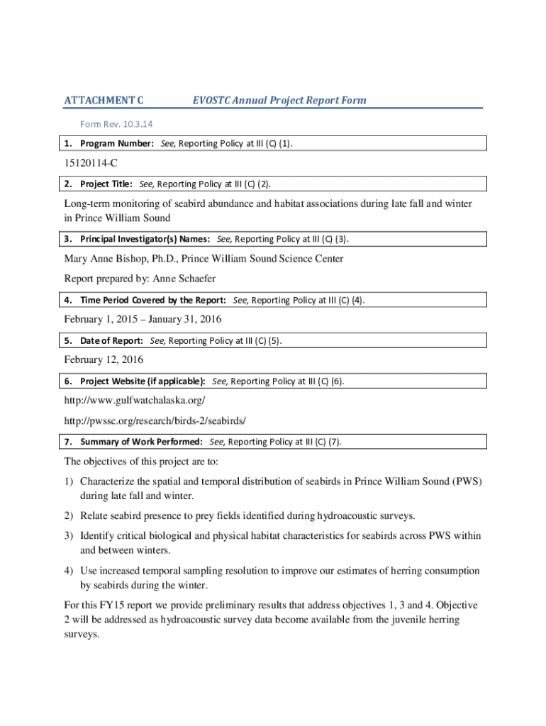 Fillable Online Annual Project Report Template Fax Email Print - pdfFiller