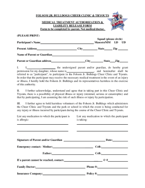 Fillable Online Cheer Information Package Fax Email Print - pdfFiller