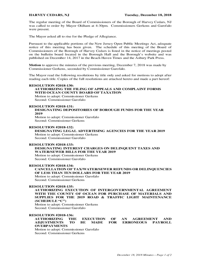 Fillable Online Mayor Oldham Now a Write-In Candidate Fax Email Print - pdfFiller