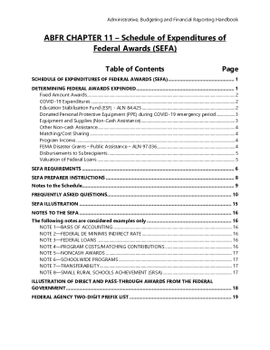 Fillable Online Schedule of Expenditures of Federal Awards: Template ...