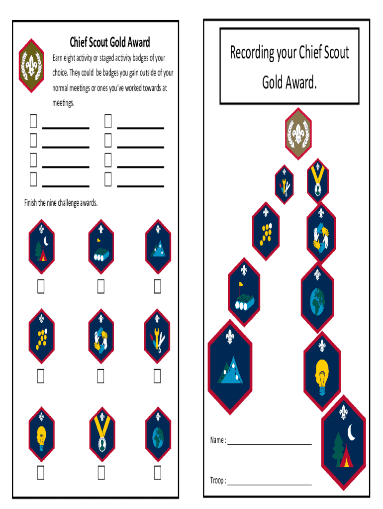 Fillable Online How To Earn A Chief Scout's Award Fax Email Print - pdfFiller