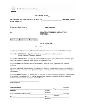 How to get an order in a family law case Doc Template | pdfFiller