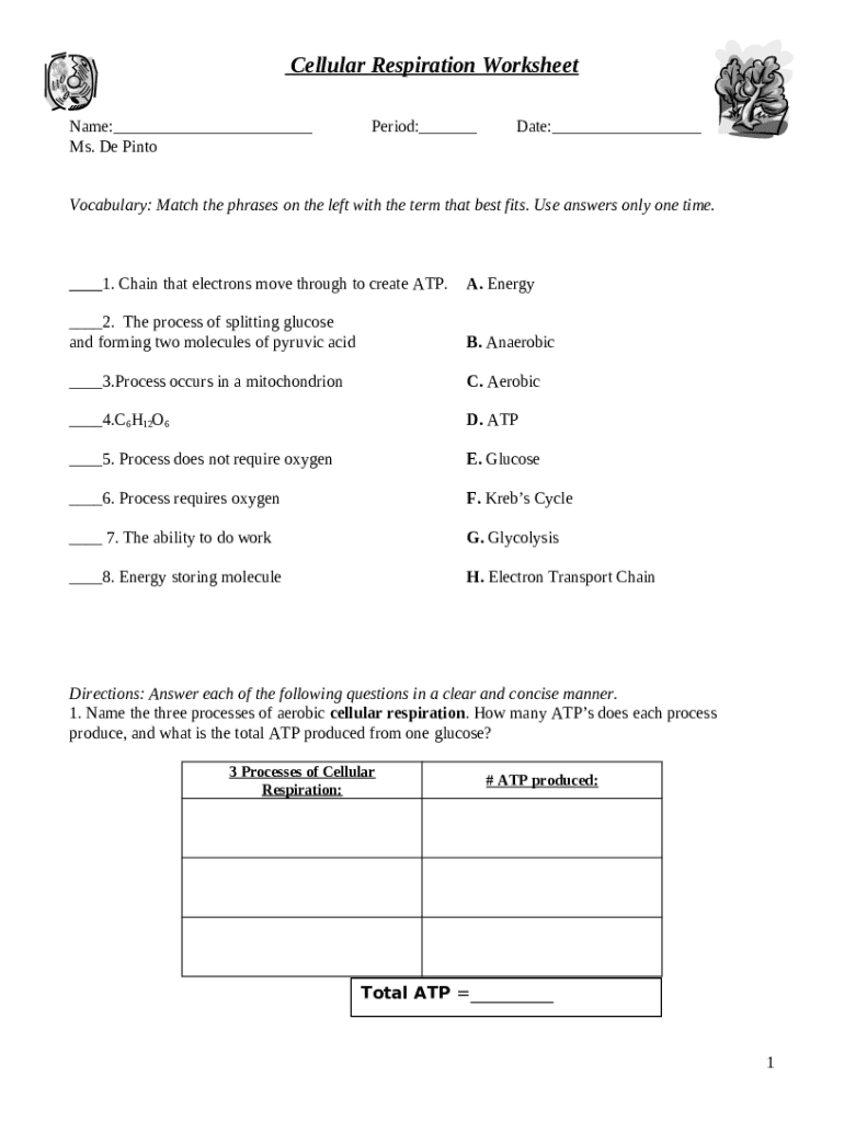 Key Photosynthesis respiration review worksheet Doc Template | pdfFiller