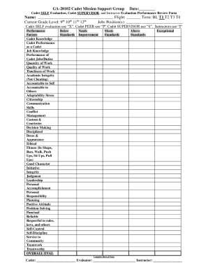 Fillable Online schoolwires henry k12 ga UMB Performance Development Program Evaluation Form ...