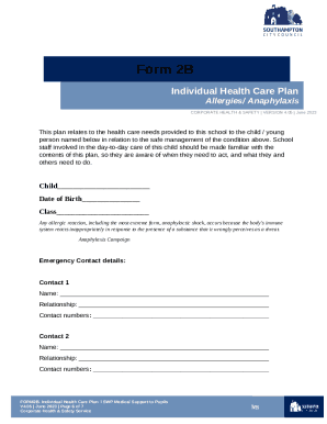 2E Individual Health Care Plan Epilepsy Doc Template | pdfFiller