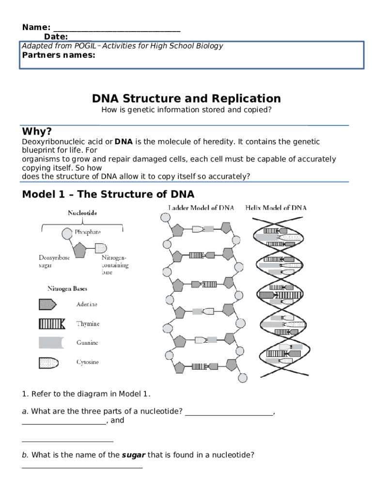 DNA Structure and Replication - How is genetic ination ... Doc Template ...