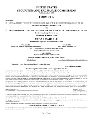 Depositary Units (Representing Limited Partner Interests) Doc Template ...