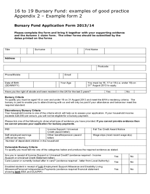 Fillable Online 16 to 19 Bursary Fund: examples of good practice Fax ...