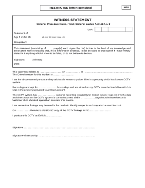 STATEMENT OF WITNESS - (Criminal Procedure Rules, r.16.2 Doc Template ...