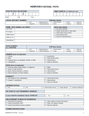 HMIS Data Quality Template - ccfl unl Doc Template | pdfFiller