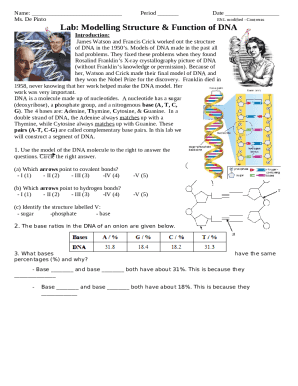 Lab: Modelling Structure & Function of DNA Doc Template | pdfFiller
