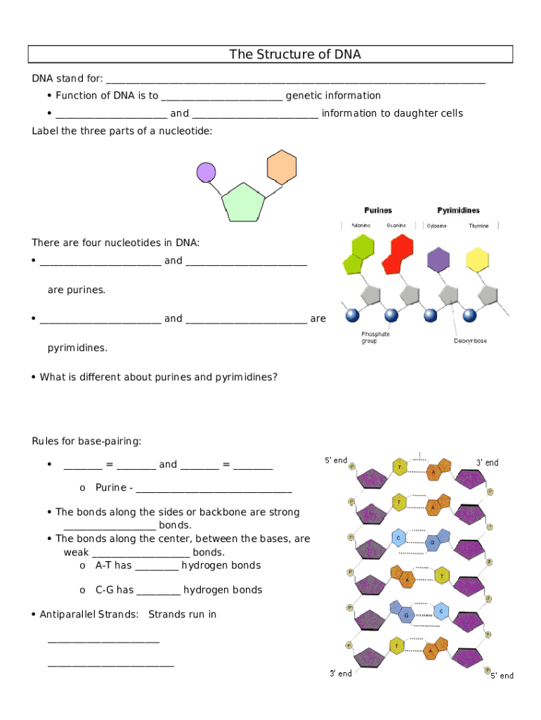 CF Genetics: The Basics Doc Template | pdfFiller