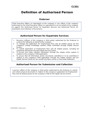 Authorised Person for Expatriate Services Doc Template | pdfFiller