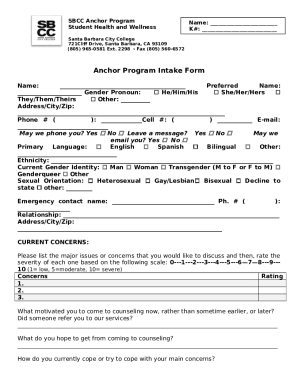 The Anchor Program- Alcohol and Other Drug Use ... Doc Template | pdfFiller