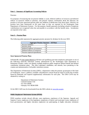 GASB 68 Calculations & Financial Statement Template ... - sao wa Doc ...
