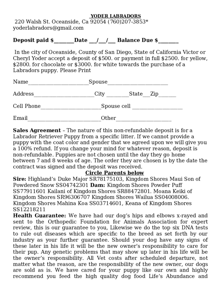 Yoder Labradors - Pet Store in Oceanside, California Doc Template ...