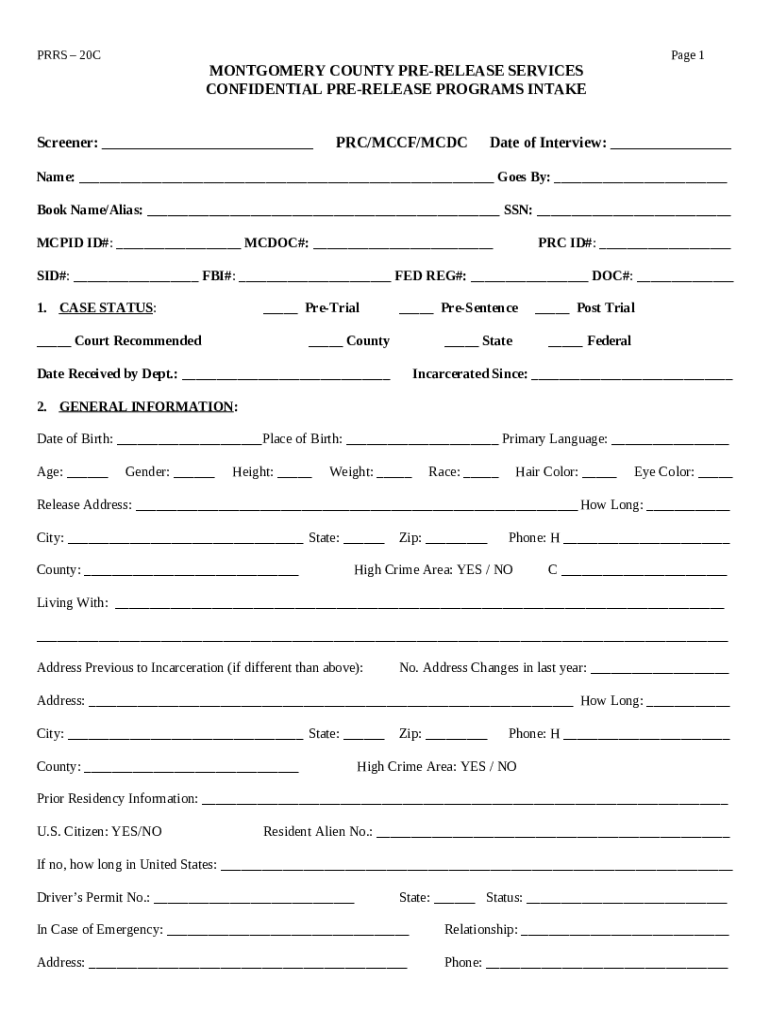 Reentry Services and Programs Summary Doc Template | pdfFiller