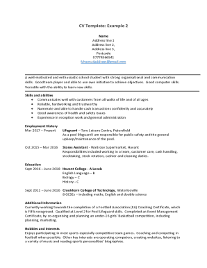Fillable Online CV Template: Example 2 Fax Email Print - pdfFiller