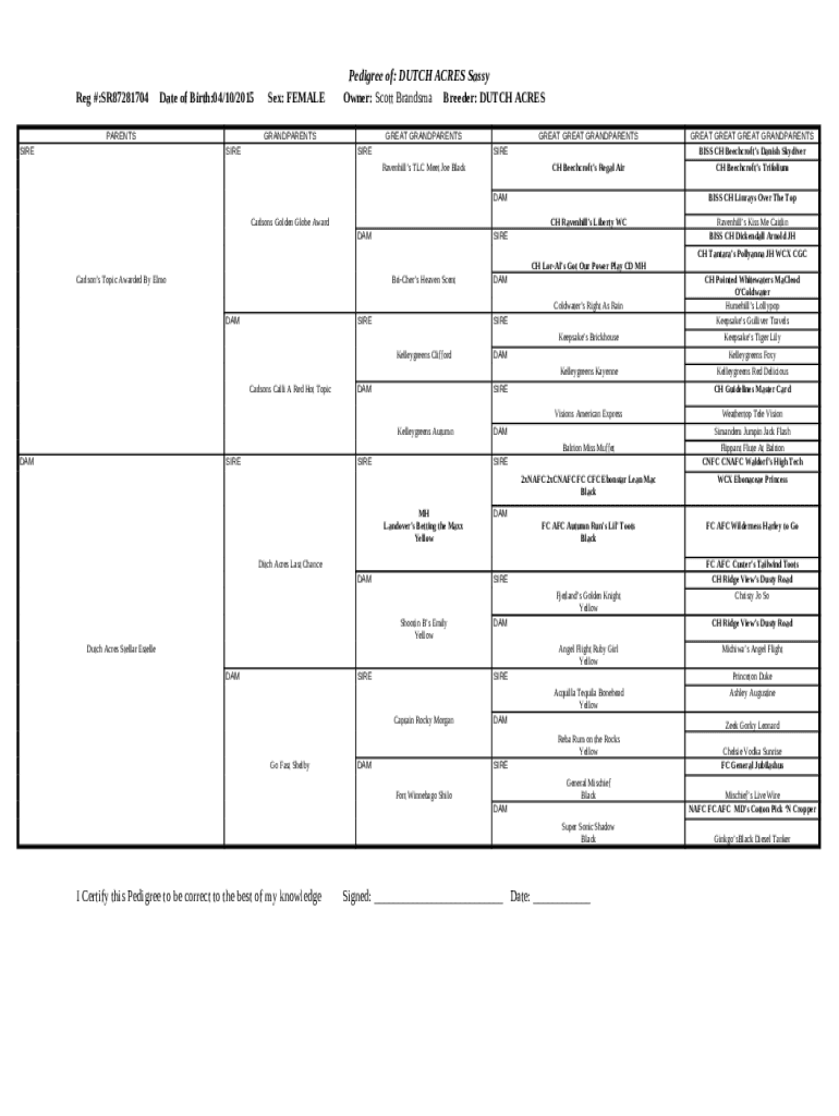 Labrador retriever Pedigree of Dutch Acres Sassy Pants Doc Template ...