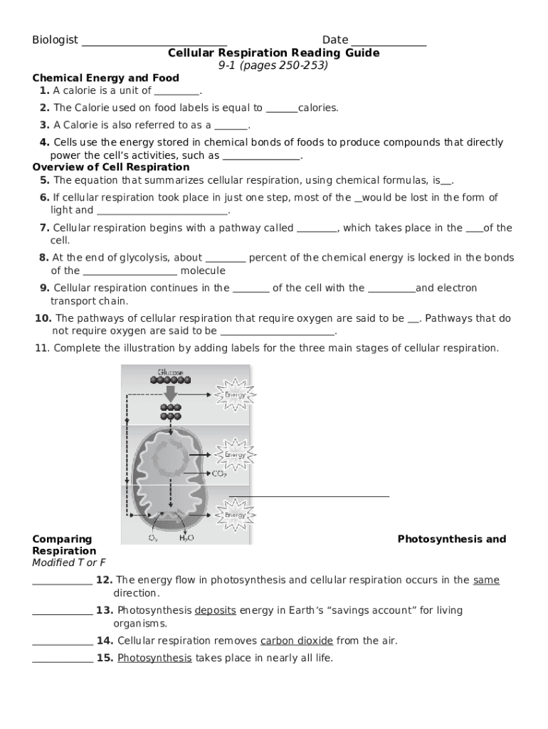 Chapter 6: How Cells Harvest Chemical Energy - Name Doc Template ...