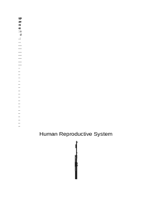 Human Reproductive System Doc Template | pdfFiller
