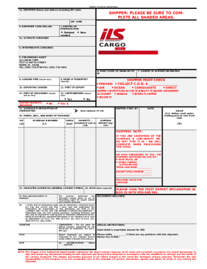 U.S. SHIPPER'S LETTER OF INSTRUCTION (SLI) Doc Template | pdfFiller