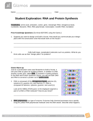 Student exploration rna and protein synthesis gizmo answer key Doc ...