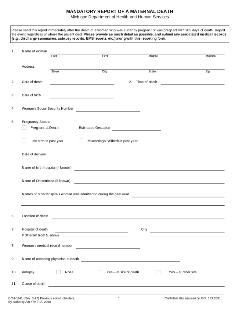 Mandatory Report of a Maternal Death - State of Michigan Doc Template ...