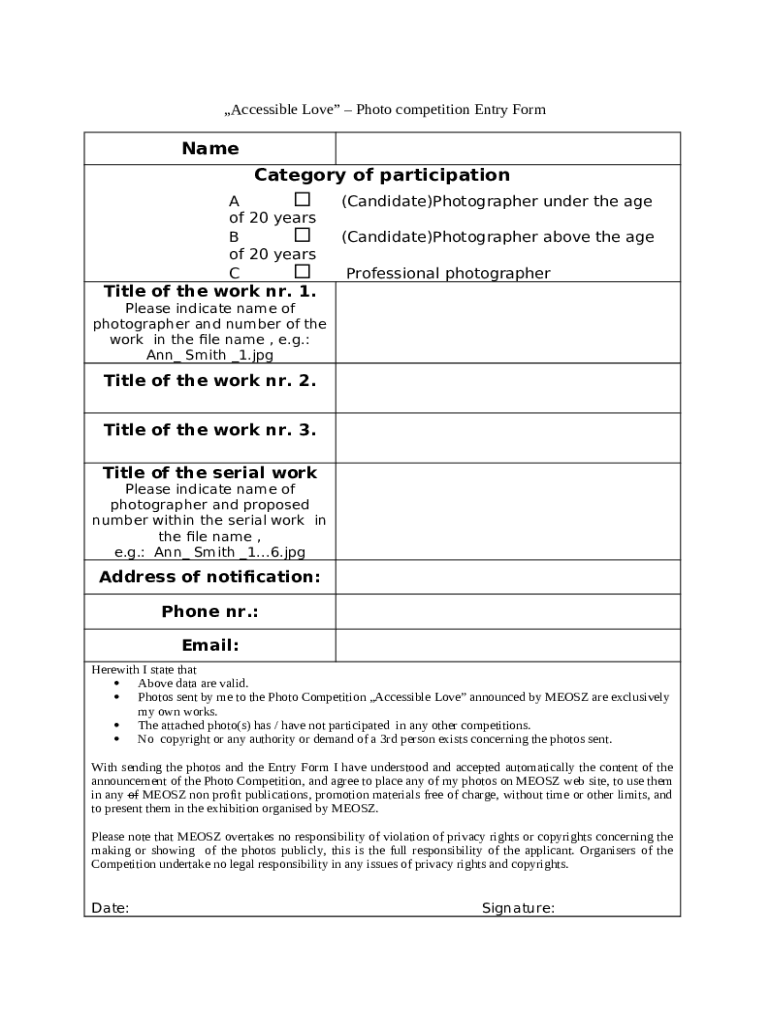 Accessible LovePhoto competition Entry Doc Template | pdfFiller