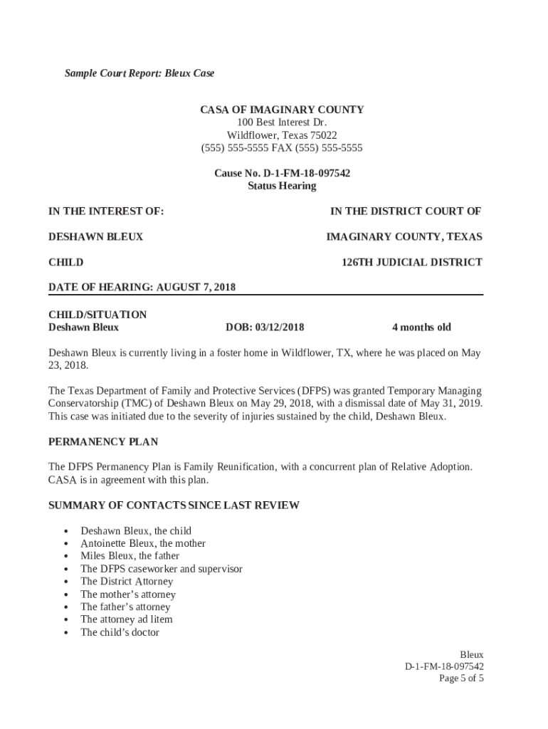 Sample Court Report for the Bleux Case Doc Template | pdfFiller