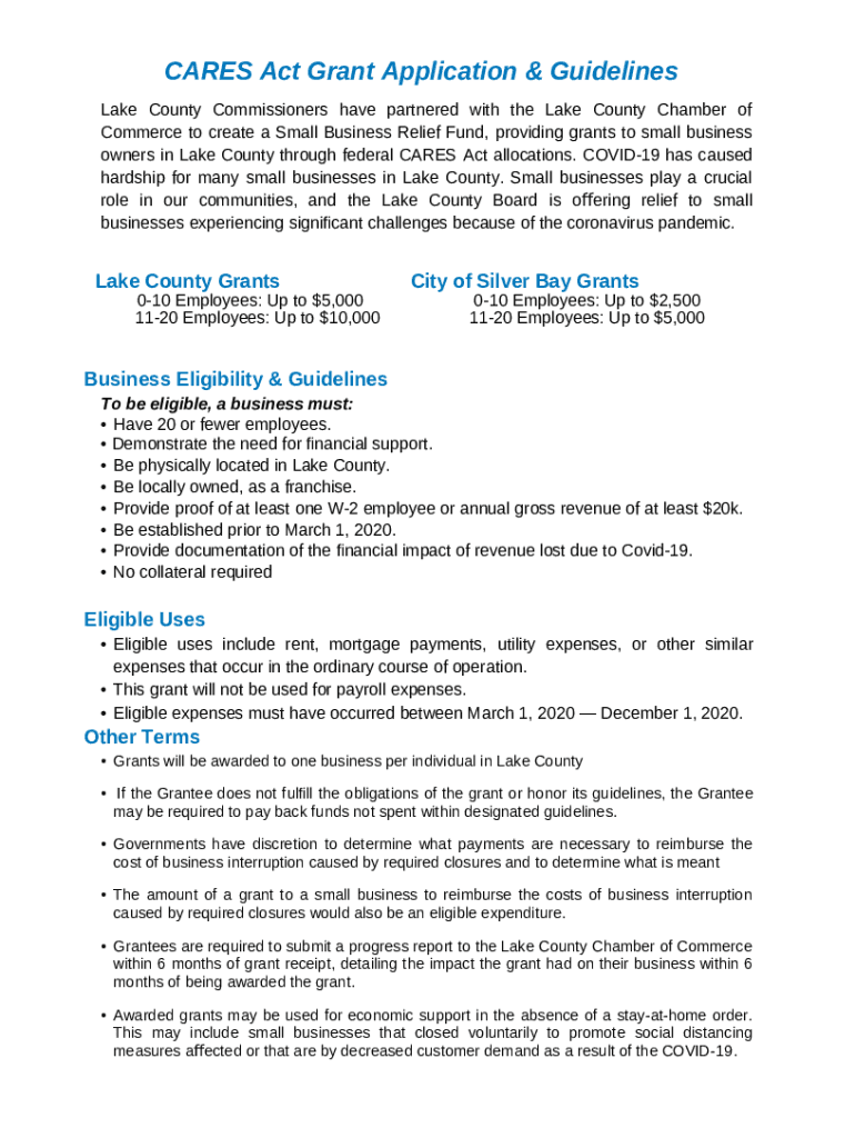 CARES Act Grant Application & Guidelines Doc Template | pdfFiller