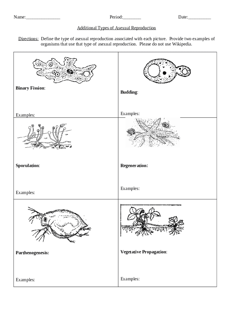 Sexual and Asexual Reproduction Study Guide Doc Template | pdfFiller
