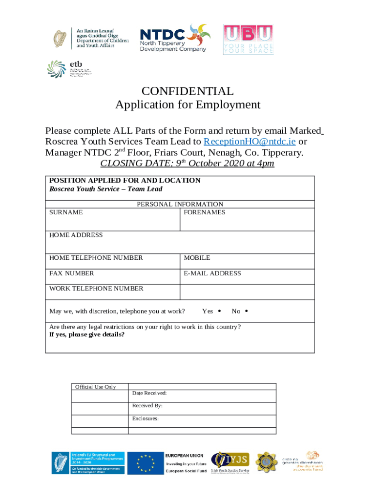 RYS Team Lead Job Application Doc Template | pdfFiller